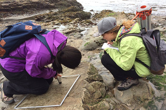 Santa Cruz - Department of Geography and Planning - University of Liverpool