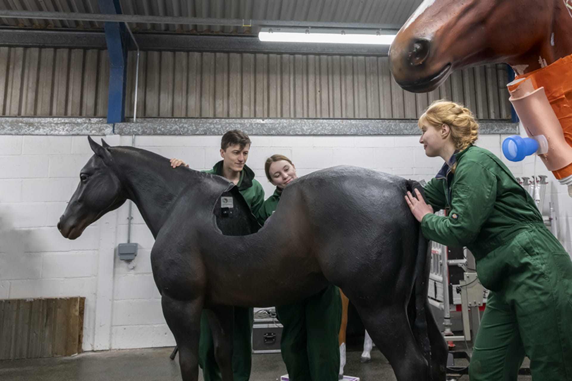 Student clinical skills hub - School of Veterinary Science - University of Liverpool