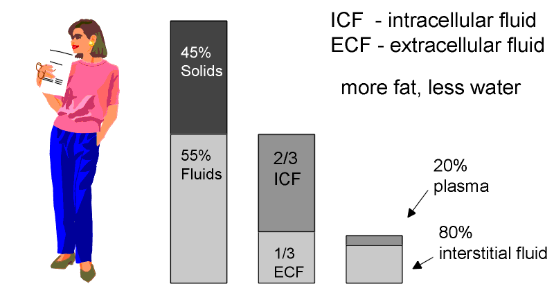 Body fluid lectures